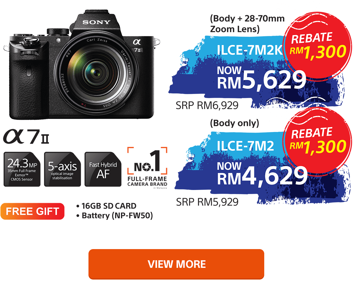 Sony | Digital Imaging Year End Promotion